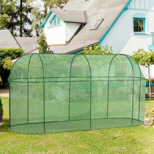 Aoodor Crop Cage 10' x 3.3' x 5' Plant Protection Tent, Fruit Cage Netting Cover & Reviews | Wayfair